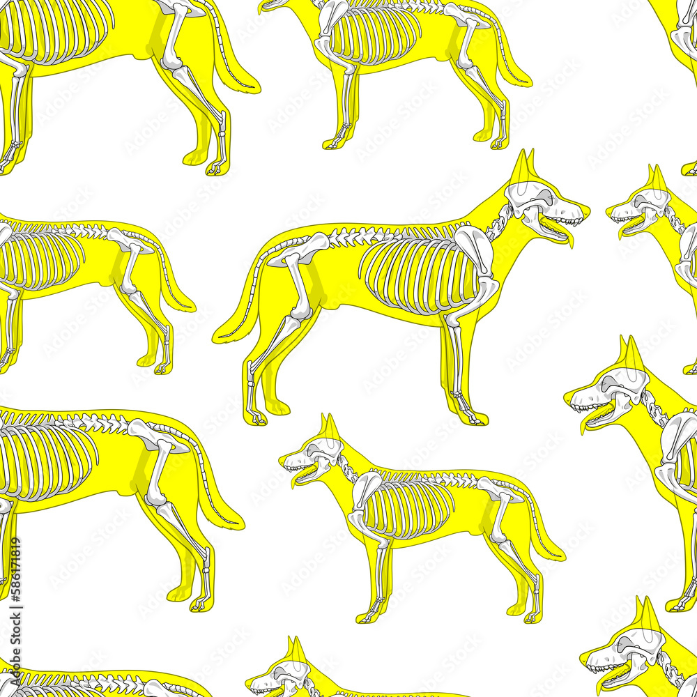 Dog skeleton seamless pattern background PNG illustration with ...