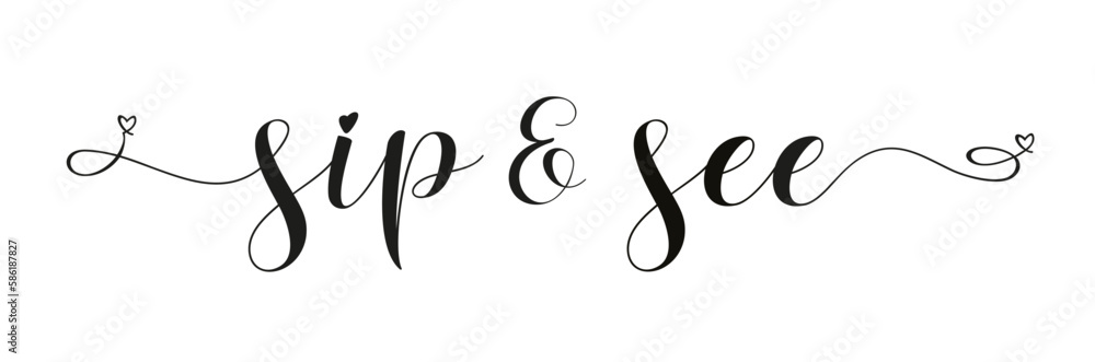 Sip and see invitations. Baby Shower invite text. Sip and see party ...