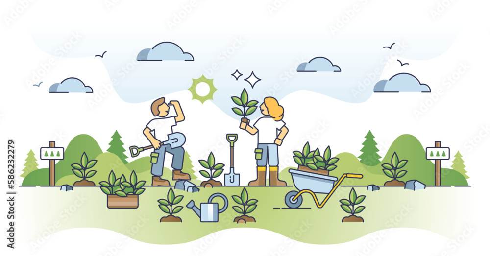 Reforestation and new tree plant seedling for green forest outline ...