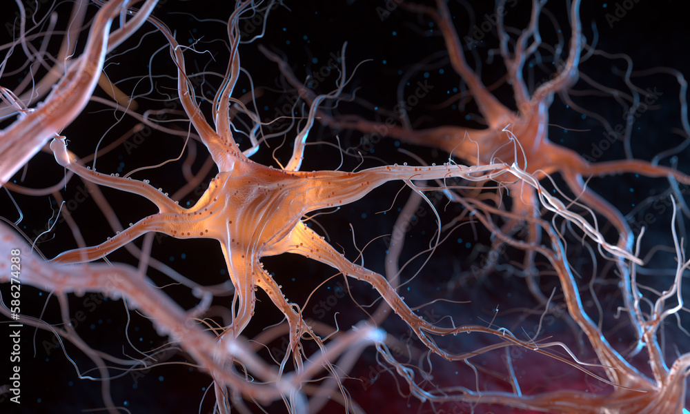 Neurons also known as neurones or nerve cells. Neurons transmit ...