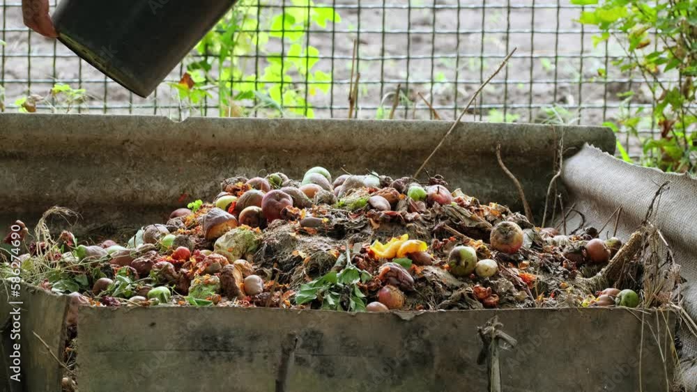 Bio-waste recycling. Compost bin with organic waste. Bio food waste ...