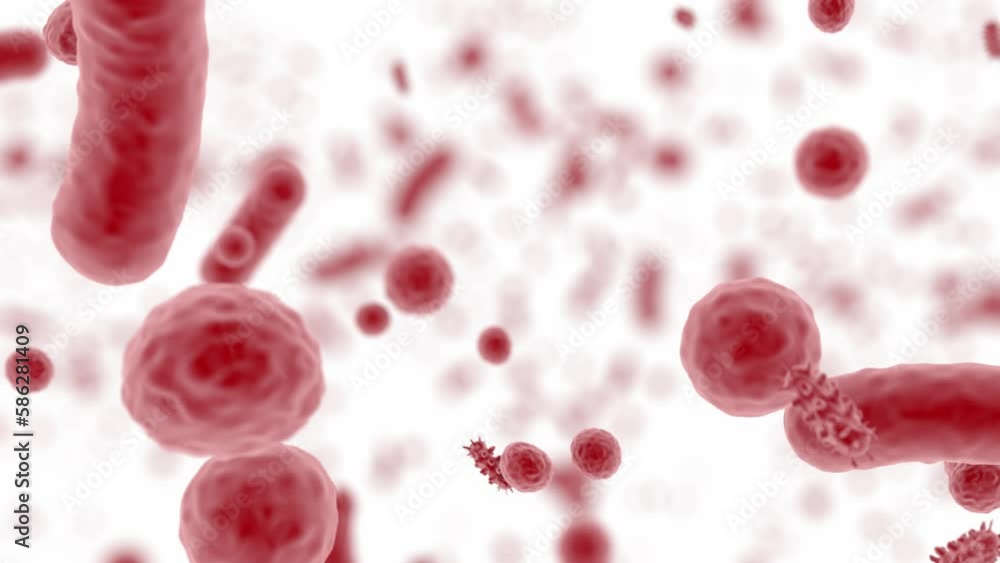Red intestinal microbiota internal bacteria of the abdomen 4k 素材庫影片 ...