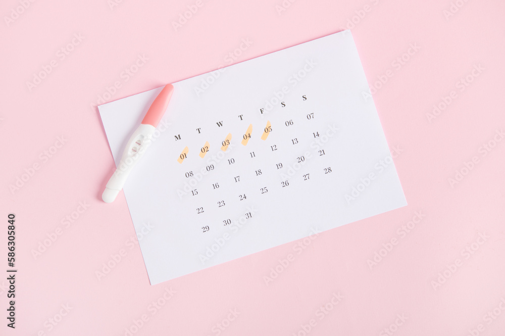 Rapid diagnosis of pregnancy at home. Top view of inkjet pregnancy test ...