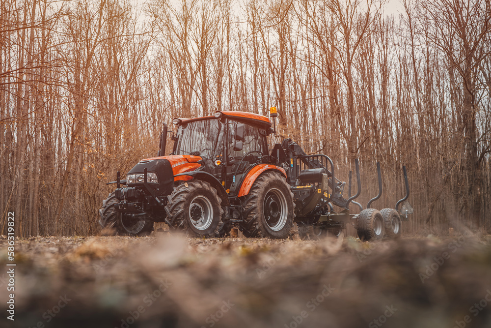 Forwarder tractor for wood transport. Tractor with lumber trailer ...
