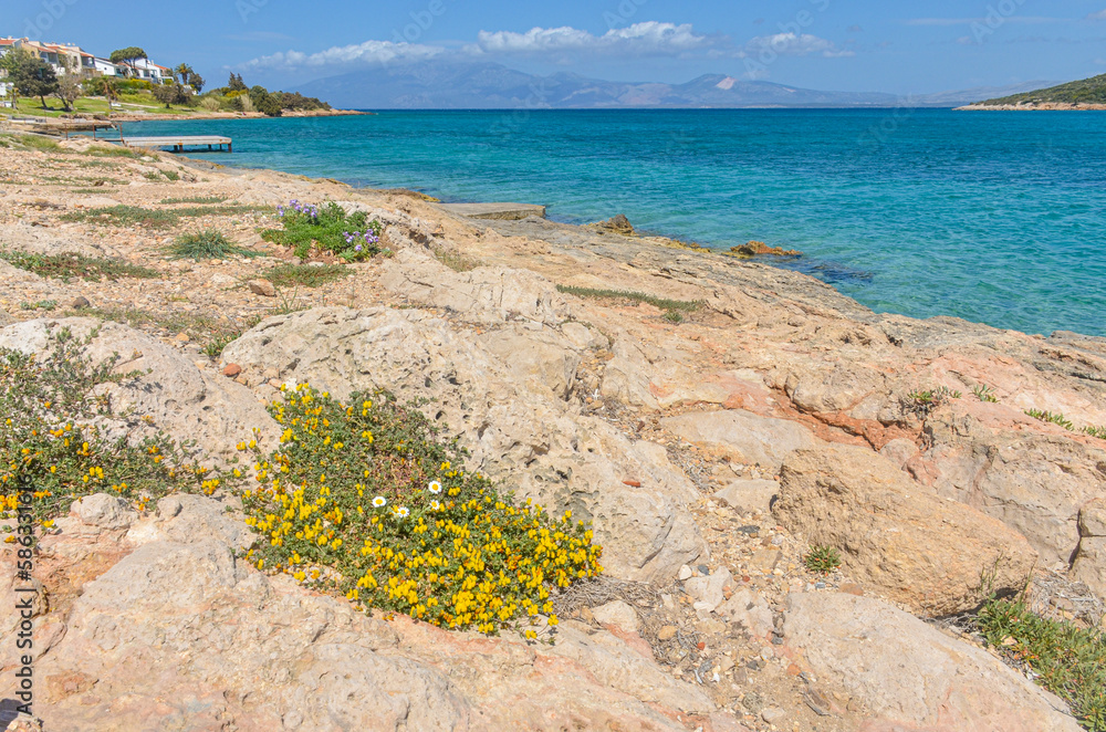 coast and turquoise water of Pasa bay in Ardic (Cesme, Izmir region ...