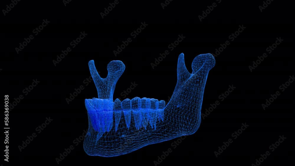Stockvideon head human and teeth skull x ray animation skull head ...