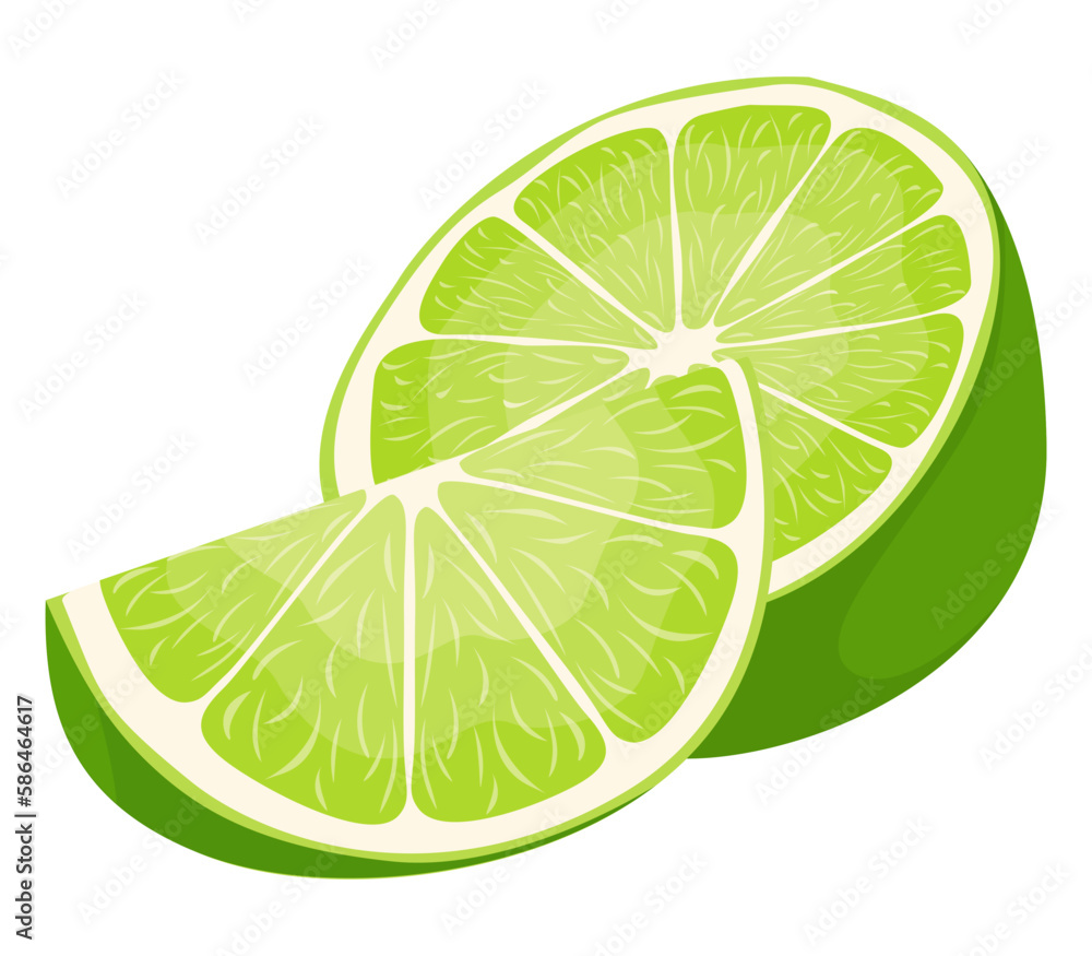 Lime lemon slice concept piece citric fruit vector illustration Stock ...