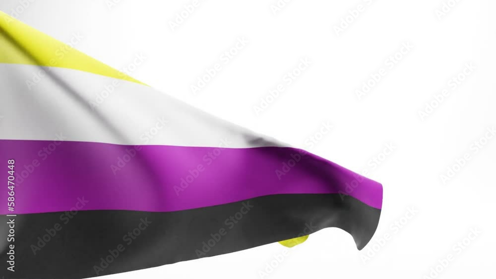 Waving non-binary Pride Flag isolated against white background; 3D ...