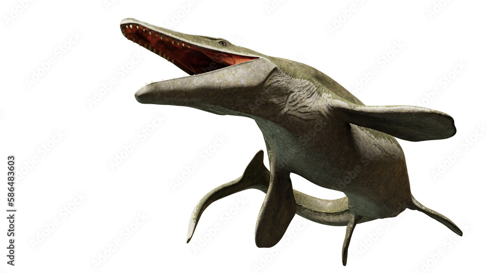 Mosasaurus, gigantic marine reptile from the Late Cretaceous isolated ...
