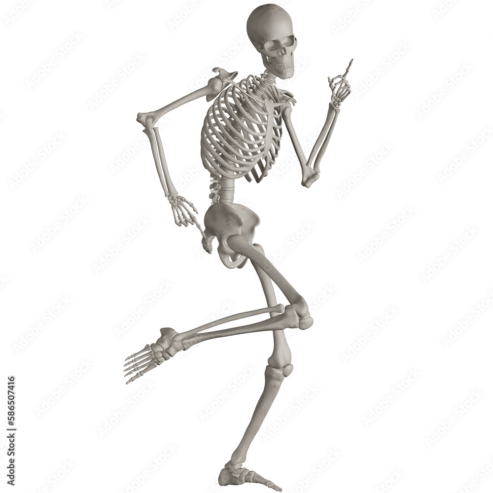 skeleton posing 3d render illustration with transparent background ...