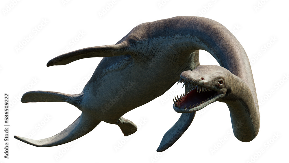 Elasmosaurus, genus of plesiosaur from the Late Cretaceous period ...