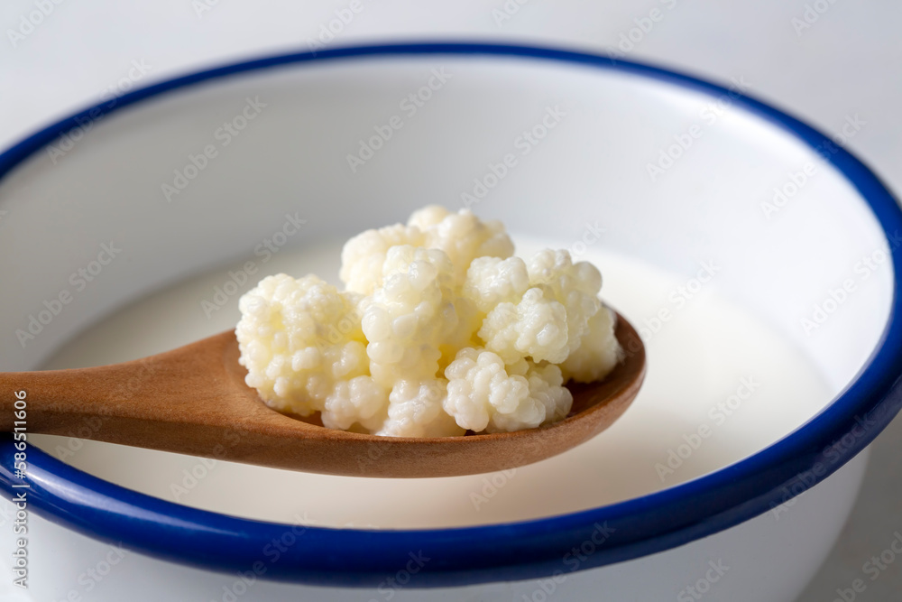 Kefir fermented milk drink with kefir grains. Homemade kefir stands in ...