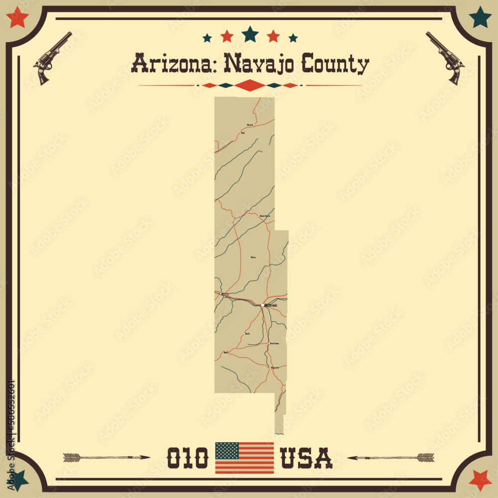 Large and accurate map of Navajo County, Arizona, USA with vintage ...