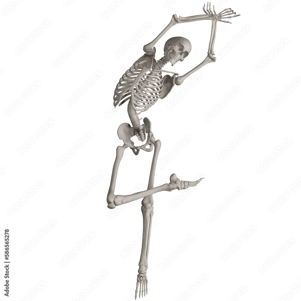skeleton posing 3d render illustration with transparent background ...