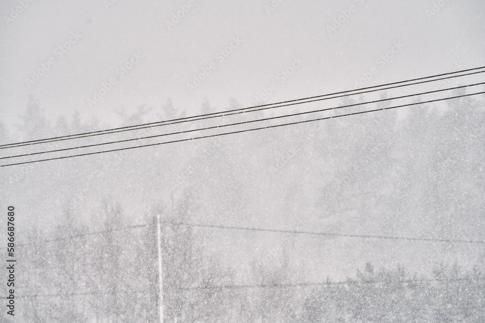 Heavy snow on electrical wires. Frozen electric wires in the city ...