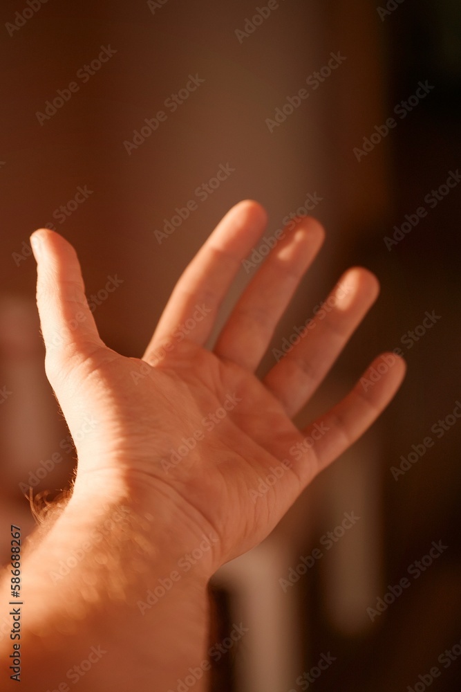 Man's hand in sunlight. Human hand anatomy reference. Natural light and ...