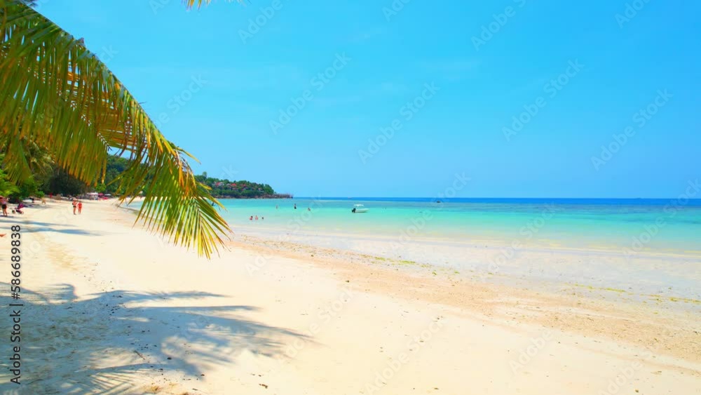 Walking on a beach with beautiful coconut trees and crystal clear ...