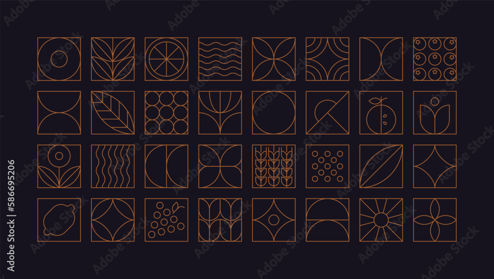 Geometric food pattern. Art deco gold line natural organic fruit plant ...