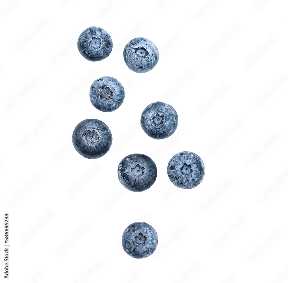 Wild sweet blueberry, berries falling and flying in the air isolated on ...