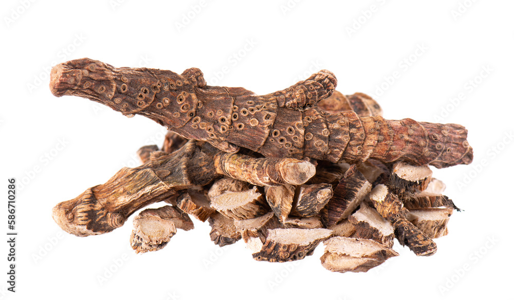 Calamus root isolated on white background. Sweet flag, sway or muskrat ...