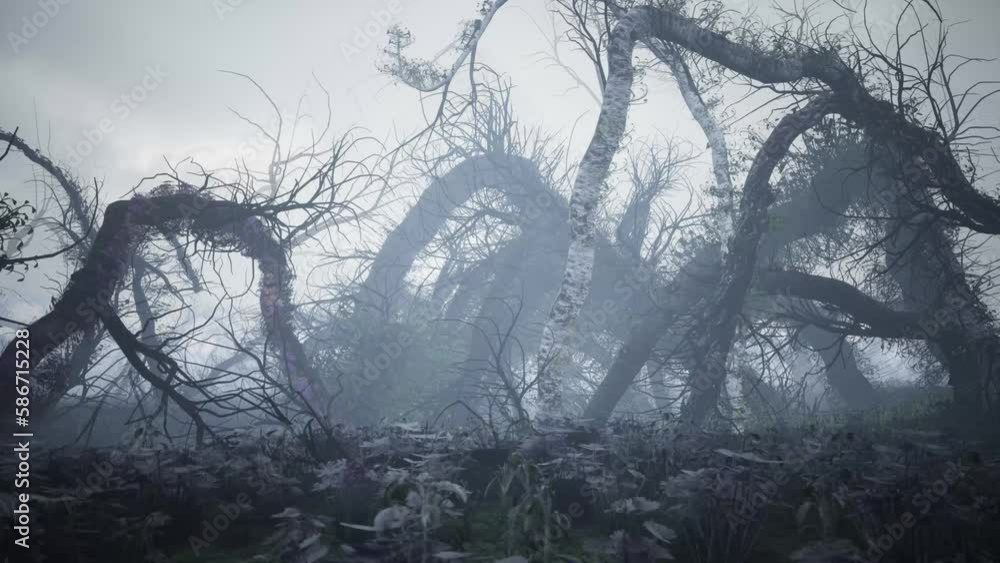 Malformed Forest, Terrifying, Horror, Trees, Cinematic 3D Animations ...