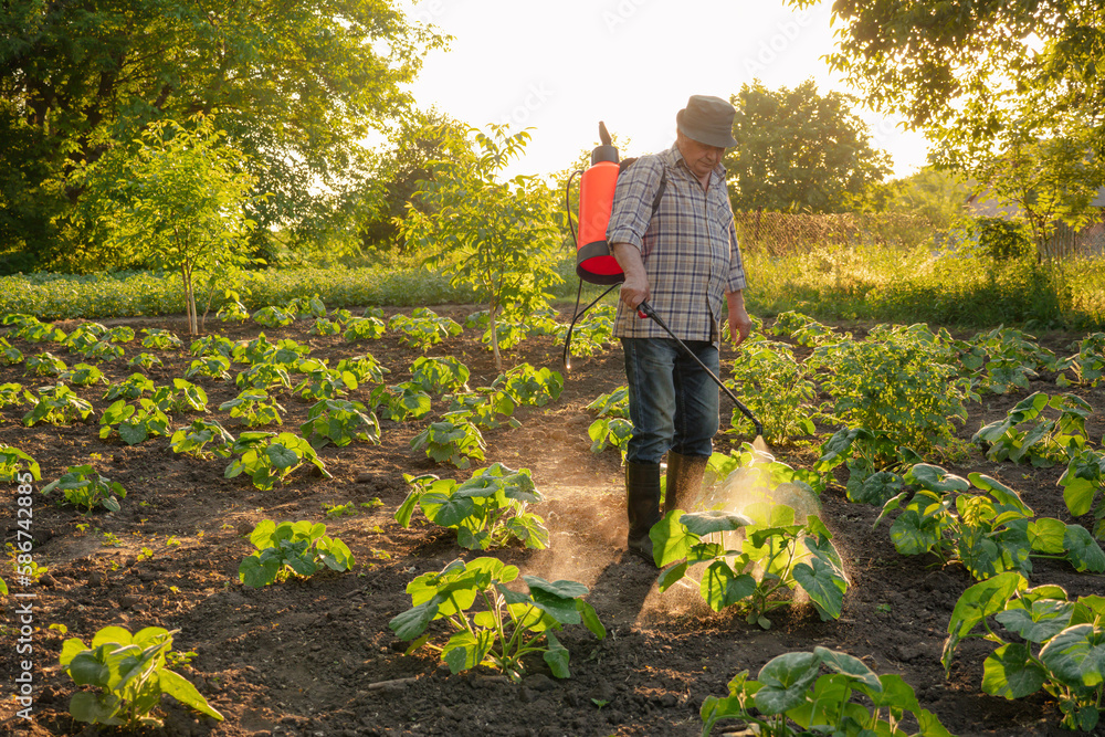Farmer spraying pesticide sprayer garden farm vegetable garden spraying ...