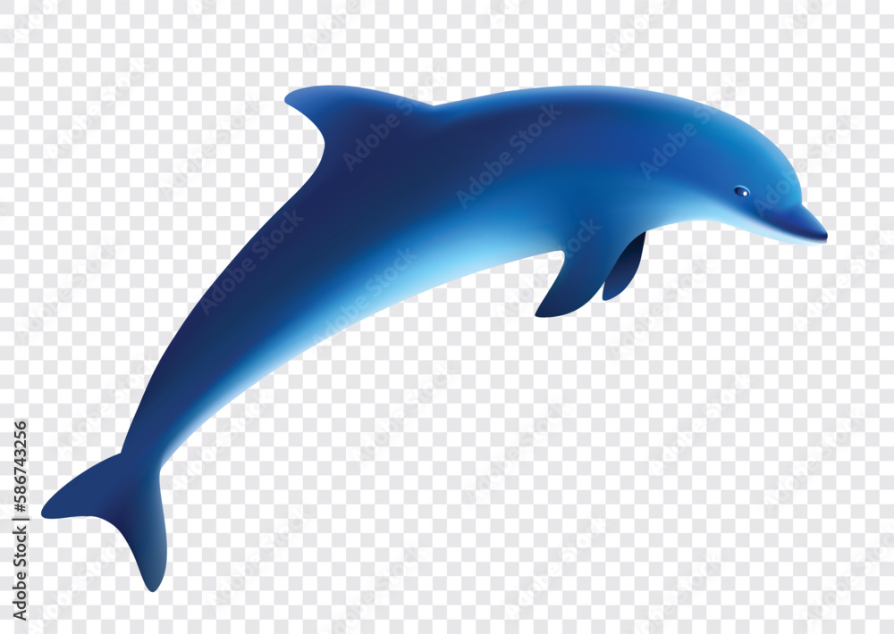 Blue dolphin jumps. Vector illustration. Jumping dolphin play ...