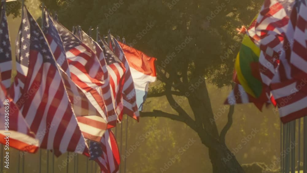 RED camera footage of American Flags blowing in wind at sunny ...