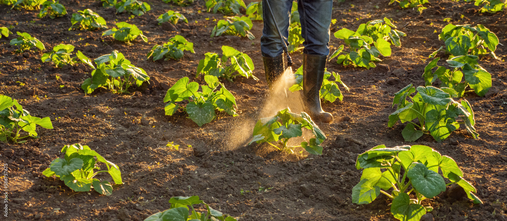 Plantation field working farmer spraying pesticide sprayer garden farm ...