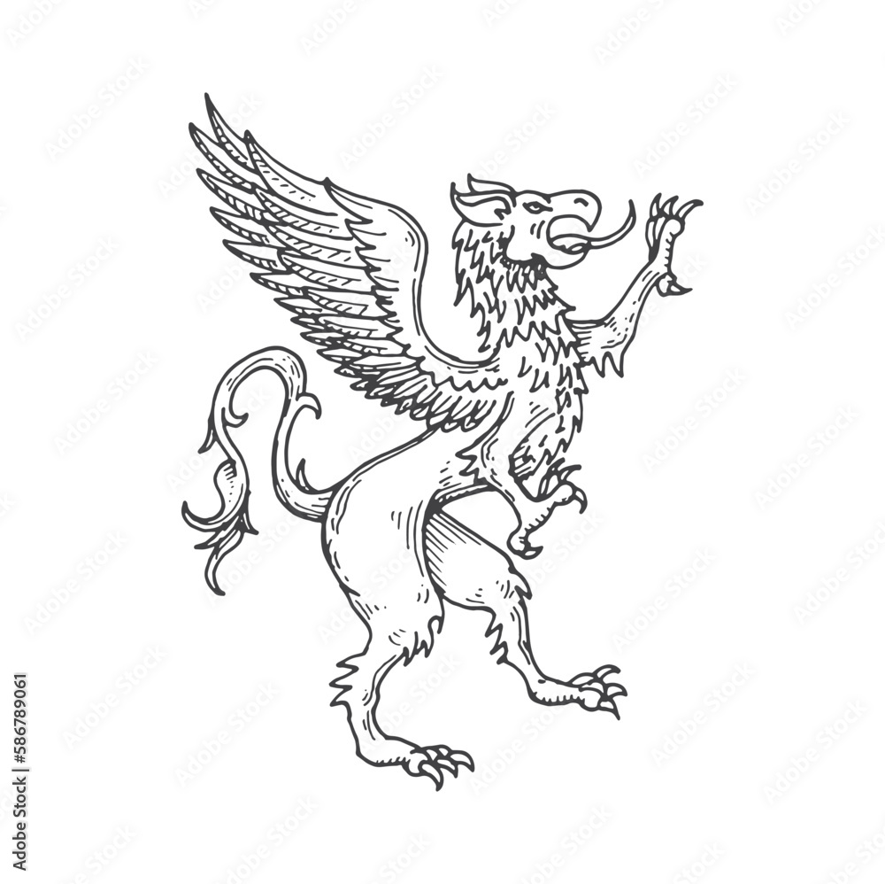 Griffin or gryphon medieval heraldic animal sketch. Mythical beast ...
