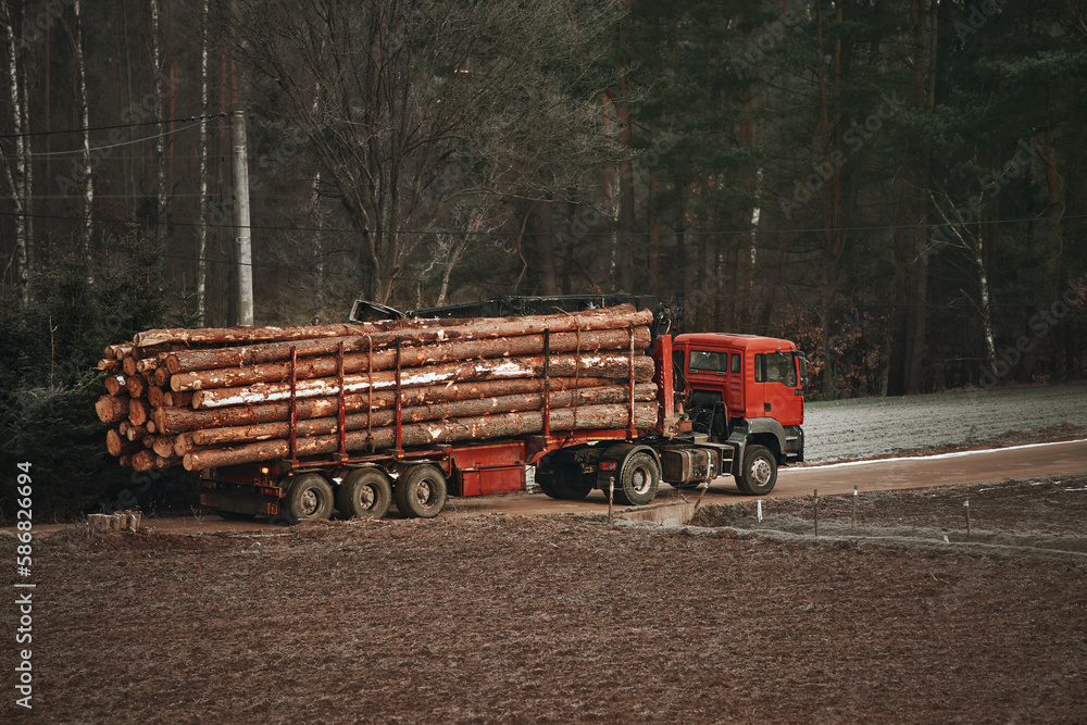 Truck transport tree logs. Logging truck carries logs on the road in ...