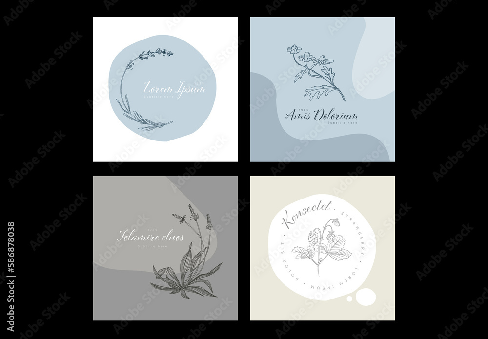 Minimalist floral logo title frames collection with circle spots Stock ...