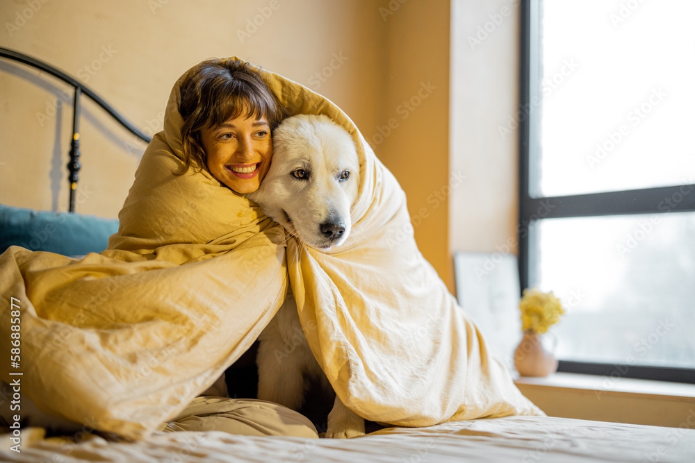 Cute young woman hugs with her white adorable dog, covered together ...