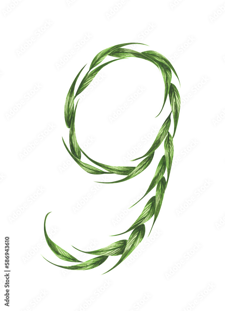 Number 9, alphabet of green leaves, Numbers from leaves. Symbol 9 with ...