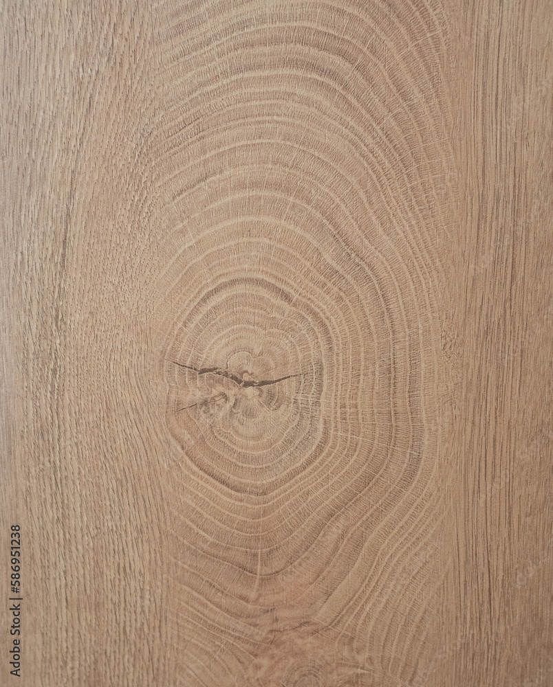 Texture legno nodoso rovere Stock Photo | Adobe Stock