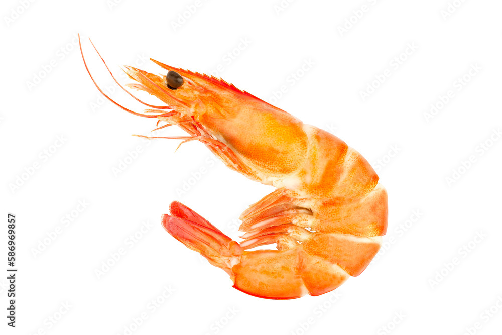 Red cooked prawn or tiger shrimp isolated on transparent background ...