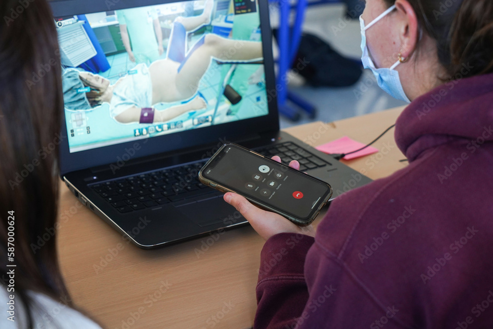 Students during a computer simulation workshop with Perinatsims ...