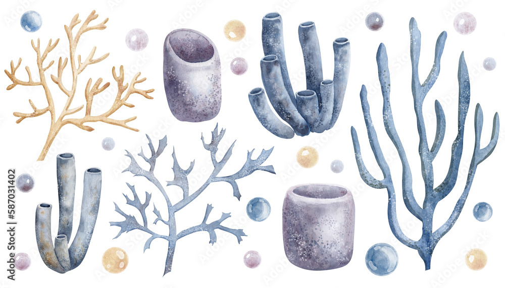 Coral Reef Set. Hand drawn watercolor bundle with underwater life on ...