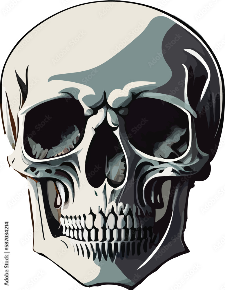 Human Skull realistic vector illustration, Minimalist Skull vector ...