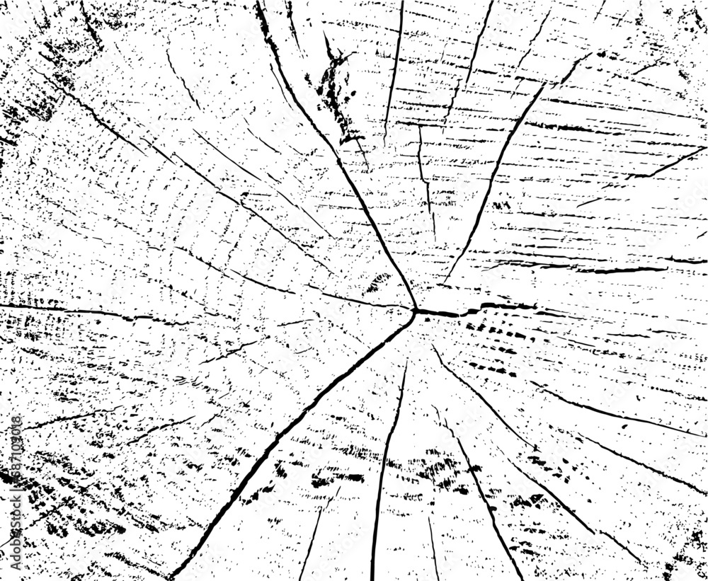 Vector grunge texture of a ring of a cut tree with cracks. Monochrome ...