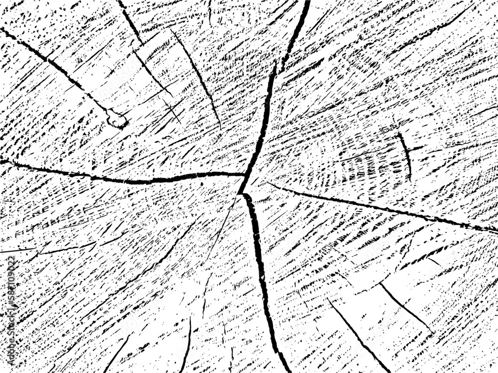 Vector grunge texture of a cut tree with cracks. Monochrome background ...
