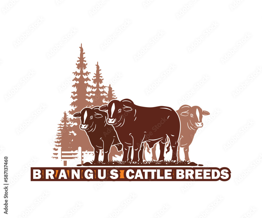 BRANGUS CATTLE RANCH LOGO, silhouette of great bull standing vector ... BRANGUS CATTLE RANCH LOGO, silhouette of great bull standing vector ...