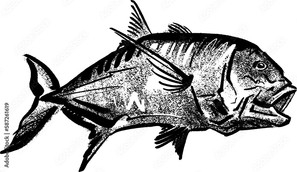 hand-drawn sketch illustration of a giant trevally fish Stock Vector ...