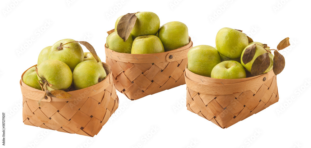 Apple variety Reinette Simirenko in basket Stock Photo | Adobe Stock