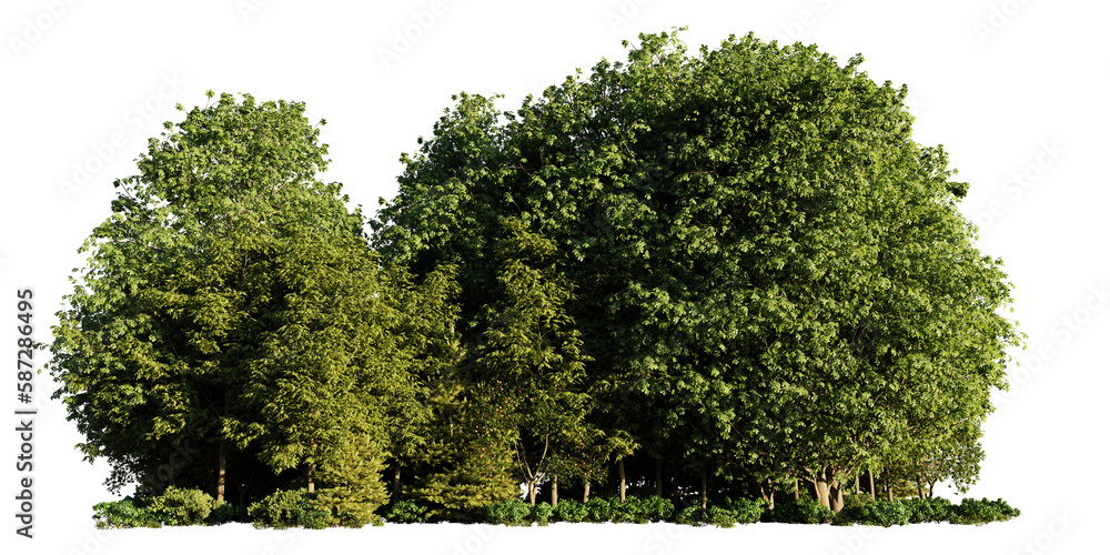 small grove, trees and bushes in a forest, isolated on transparent ...