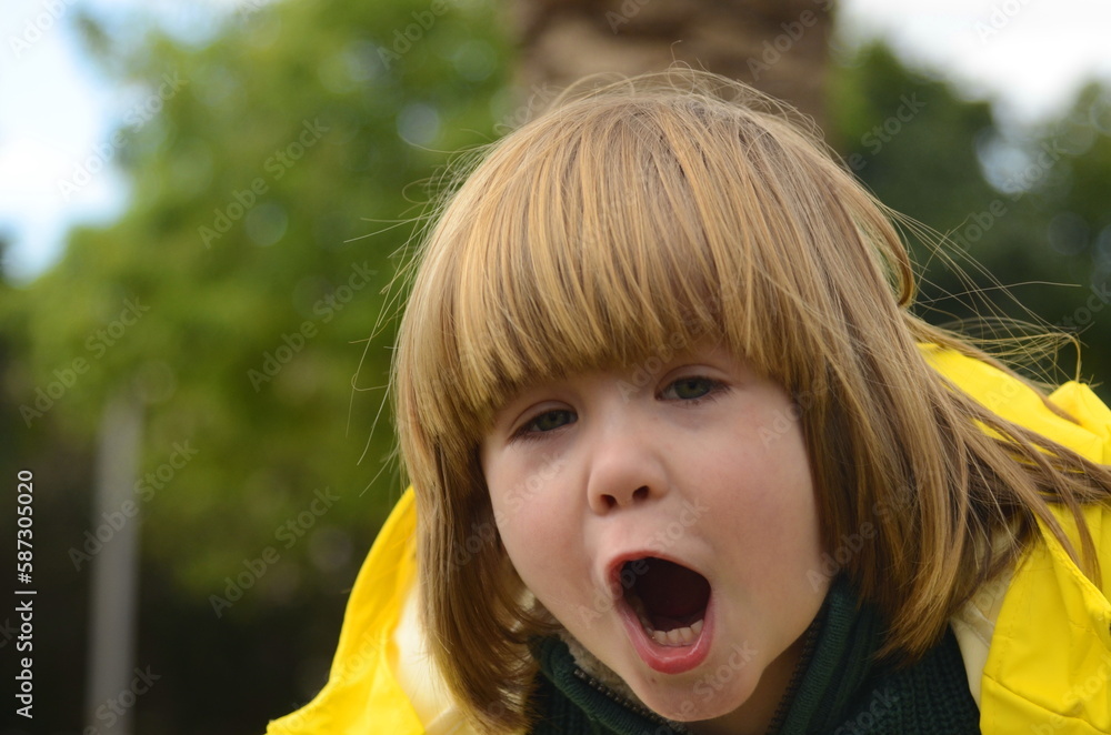 Little boy looks up the Hebrew alphabet. Learning with play. Hebrew ...