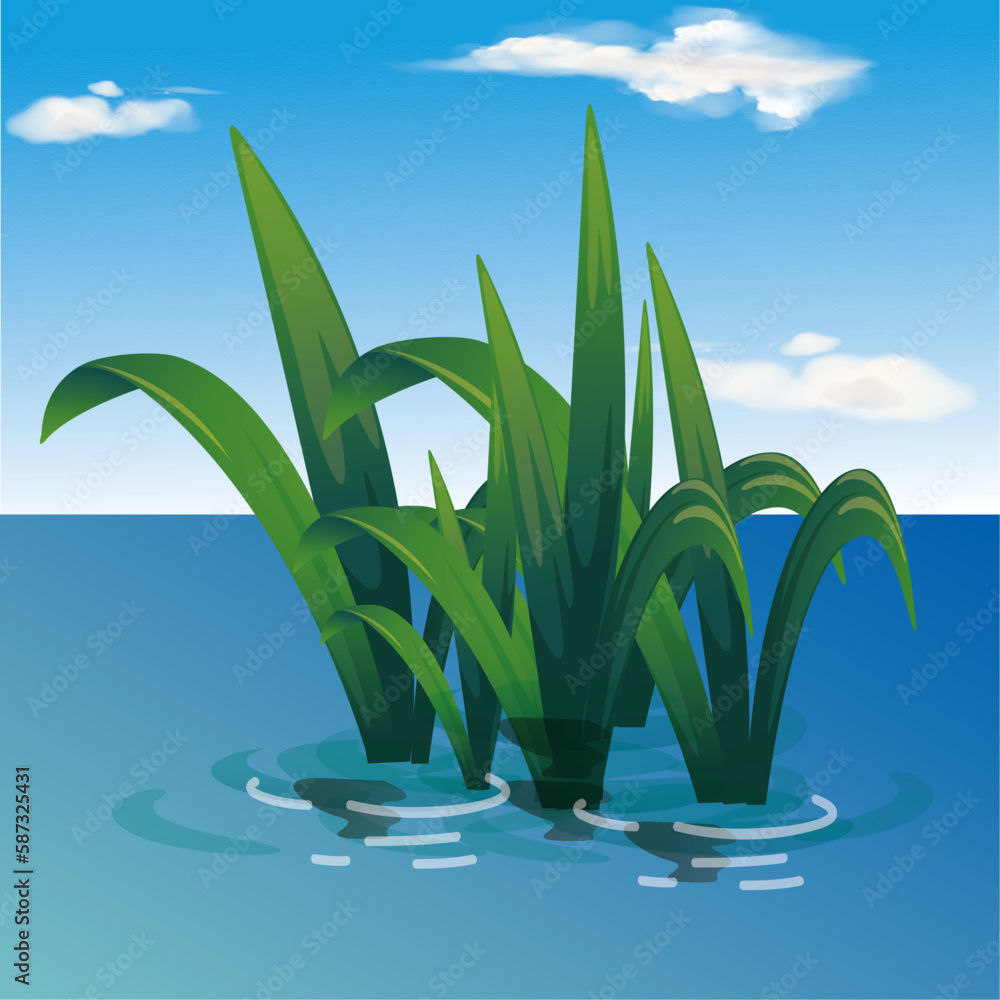 Vetor de Vector of water plants growing in the water of a pond ...