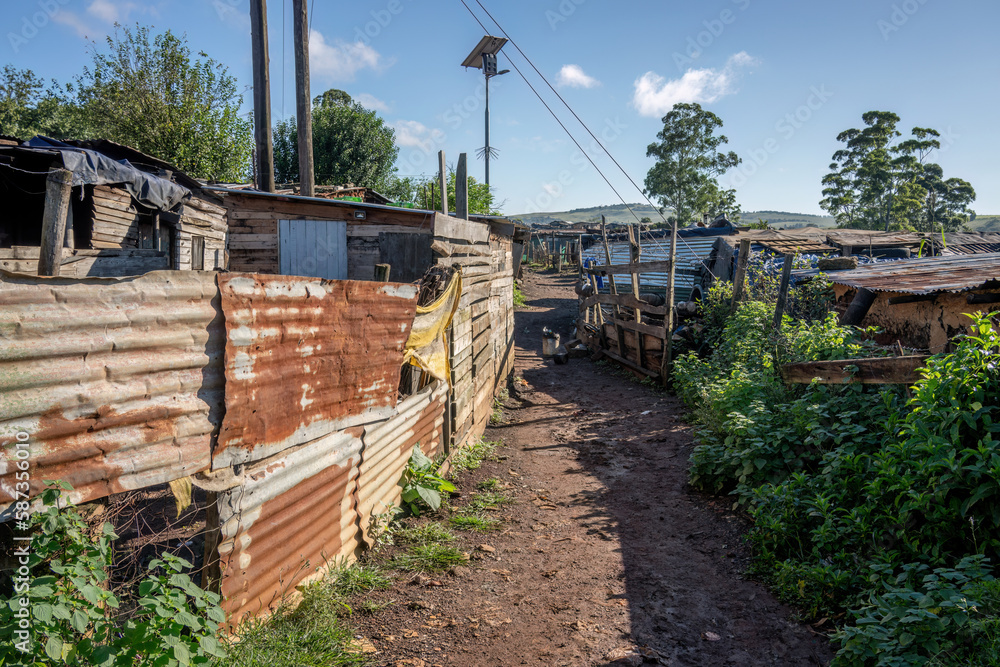 Foto de A dirt road passes shacks made from corrugated iron and wood ...