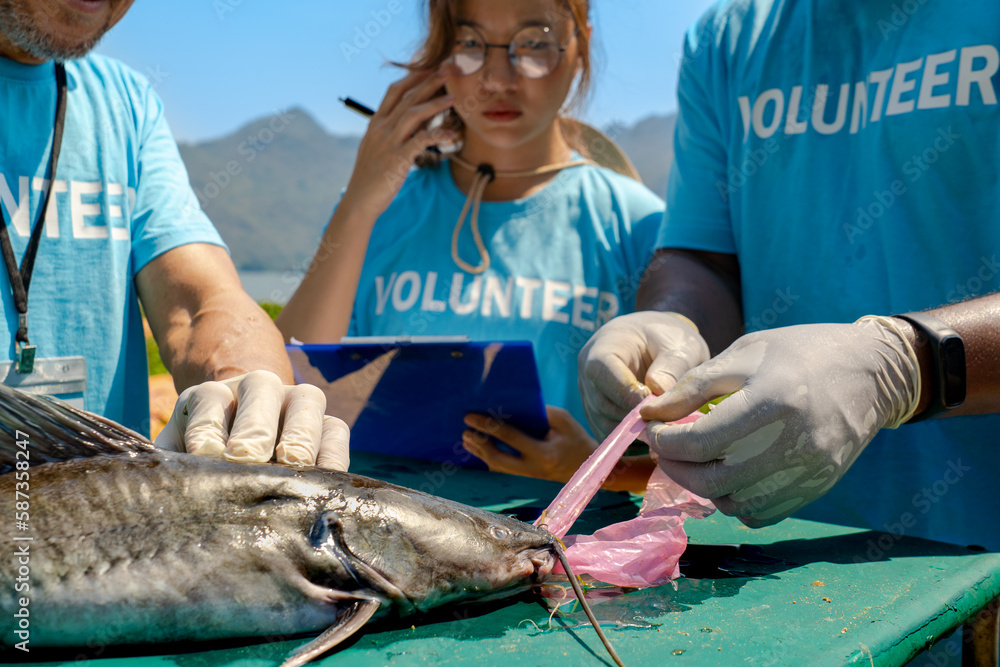 team of volunteers rescues the fish by pulling trash out of its mouth ...