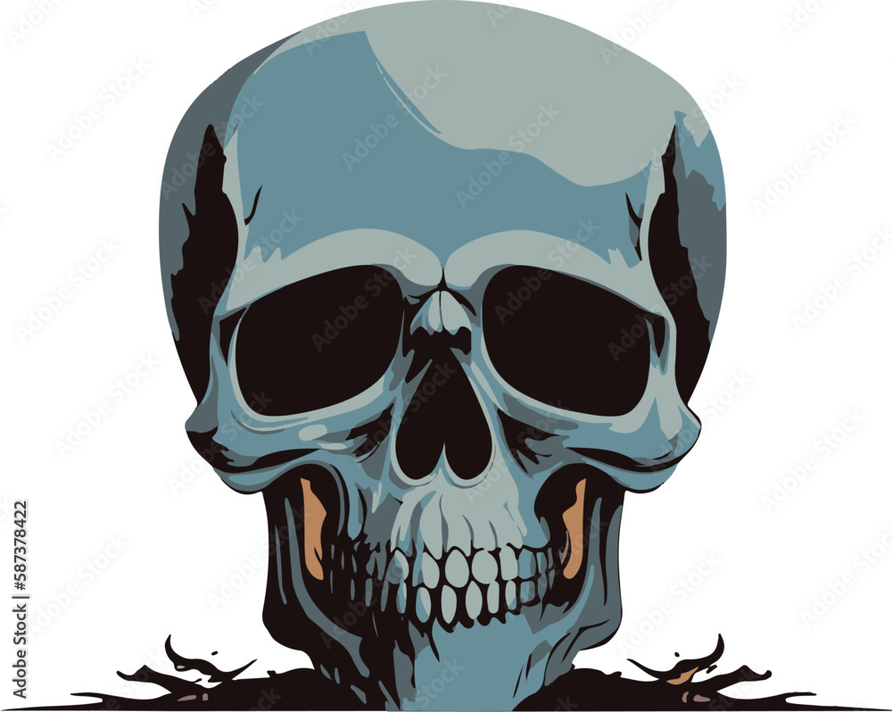Minimalist Human Skull realistic vector illustration, human head skull ...